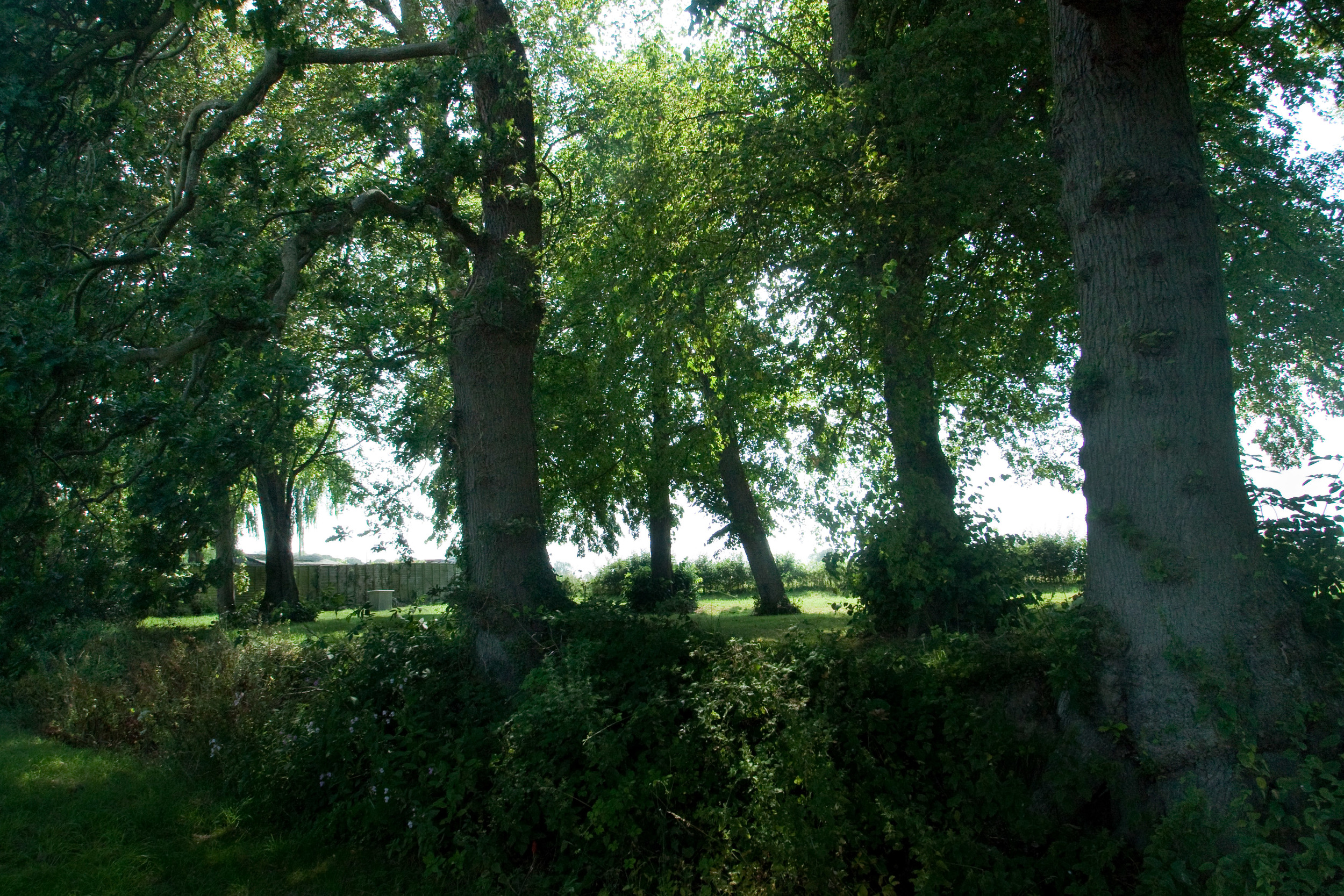 Smallburgh: A Story of the Trorys – Elizabeth Walne's Your Local History